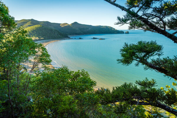 Cape Hillsborough National Park: North Queensland's hidden treasure ...